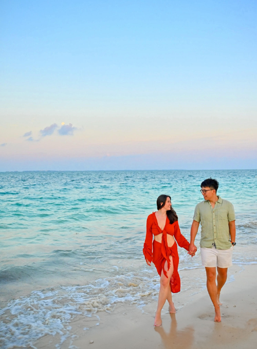Janine & Orion - Dreams Playa Mujeres - Wedding Webpage